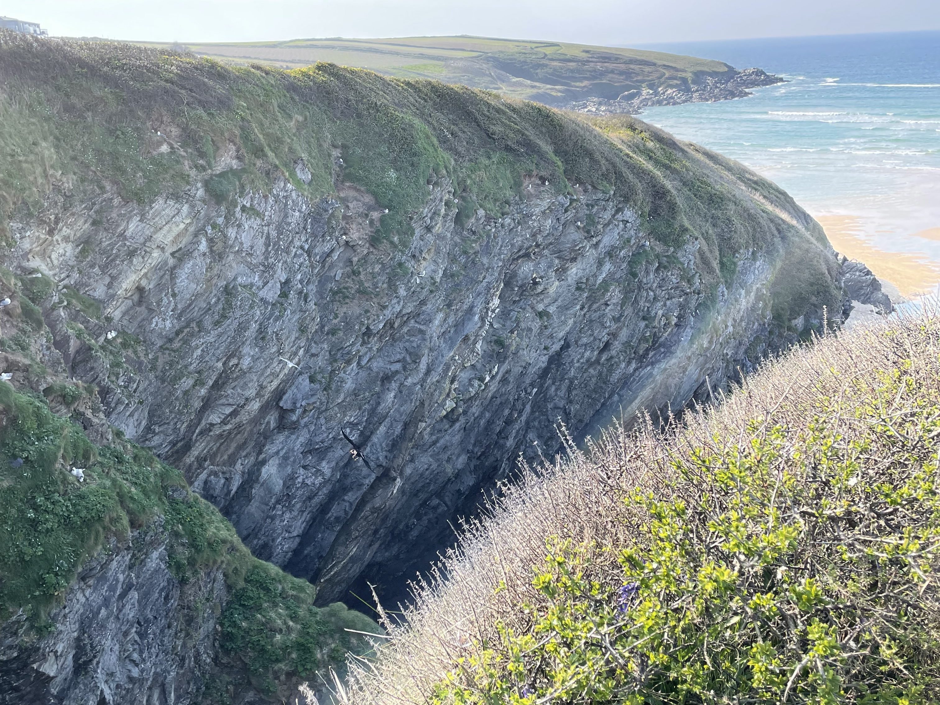 Land of Giants and The Birds – Booked for Travel