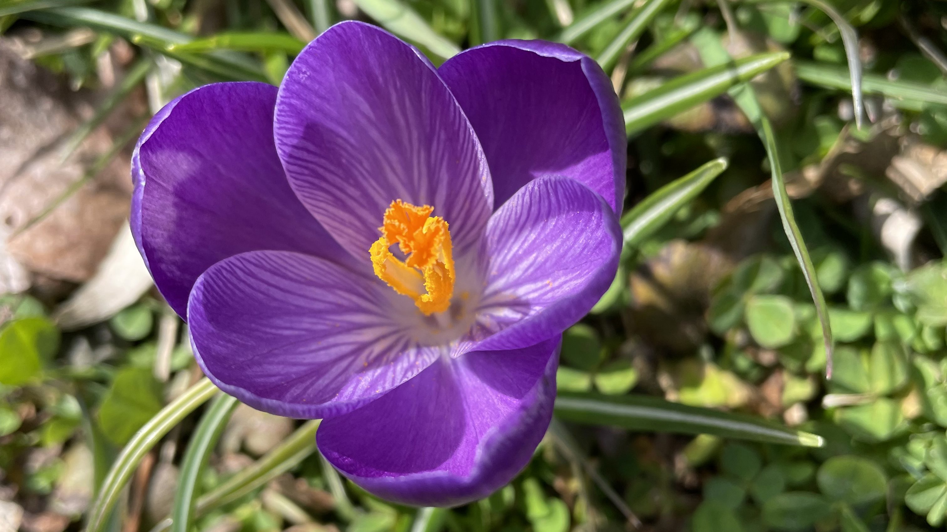 Whan that Aprill with his shoures soote – Booked for Travel